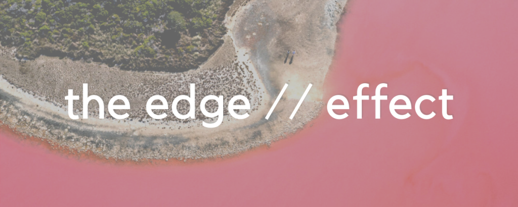 The Edge Effect: Driving Change From Where You Are | Daylight Blog
