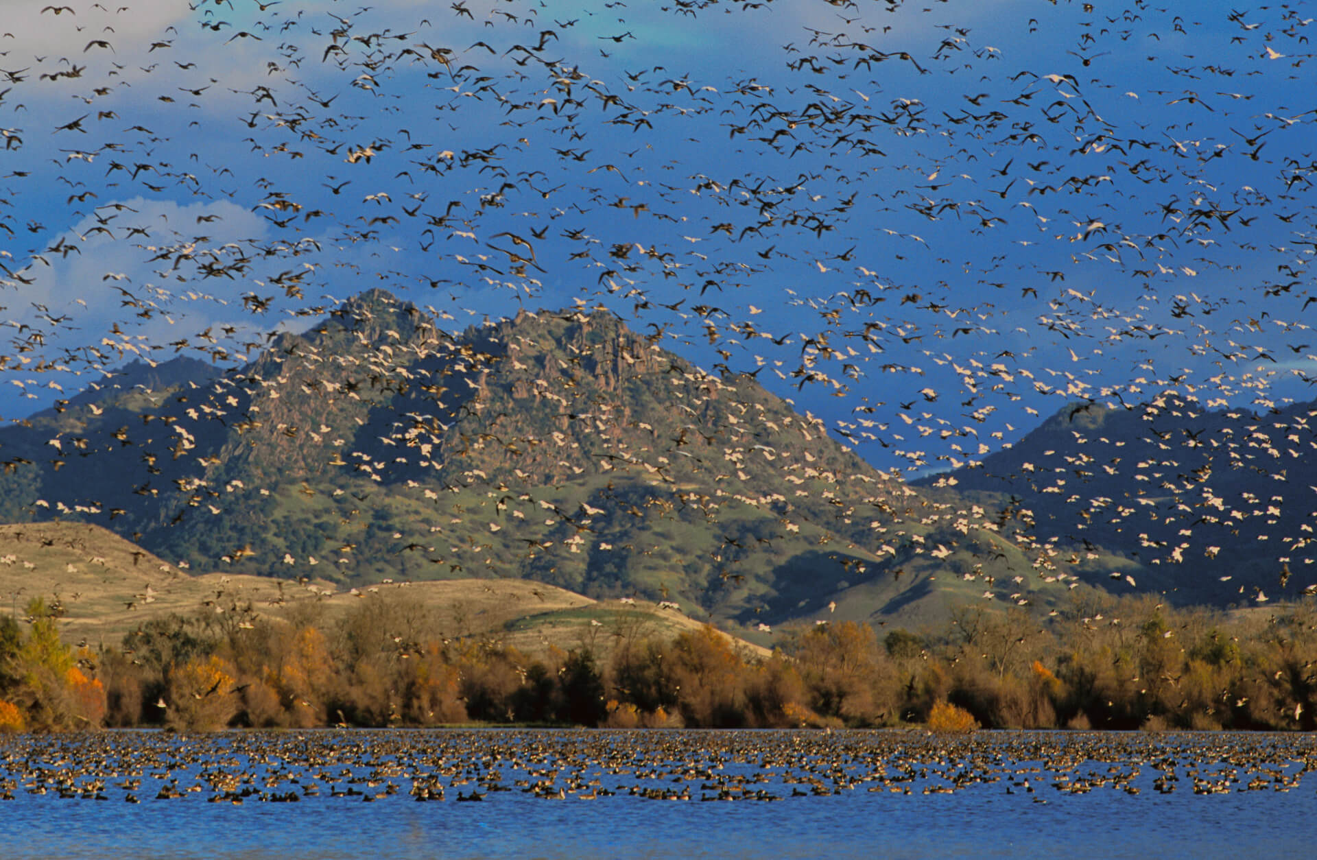 Daylight announces the launch of Central Valley Joint Venture's new ...